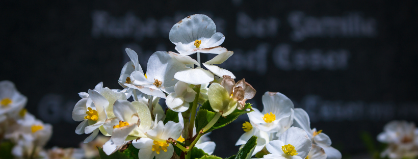 Perukirja perunkirjoitus Espoo - Asianajotoimisto Pekka Männistö